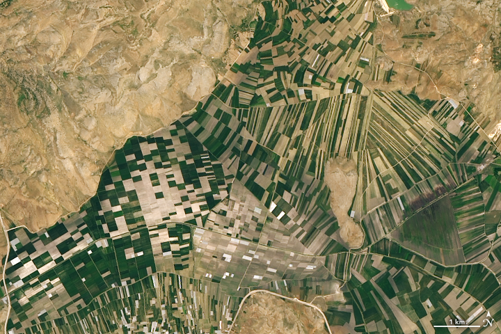 Farming in Turkey’s Mountains – Business Diplomacy